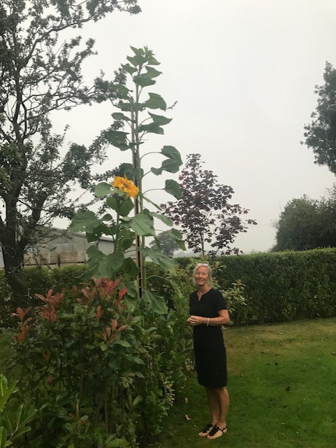 World Environment Day – Old Mill Surgery